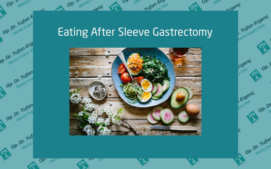 Eating After Sleeve Gastrectomy Opdr Tufan Ergenc